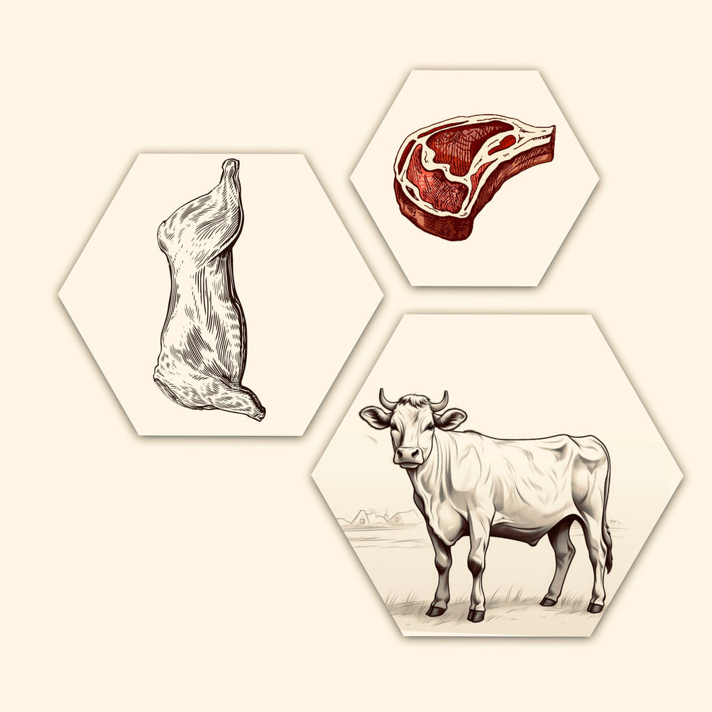 Beef Processing in Iowa | Custom Cut & Wrap – Milo Locker Meats